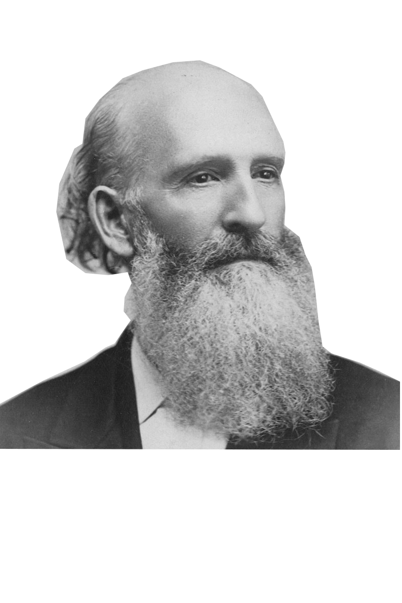 Pioniere - Salz der Erde